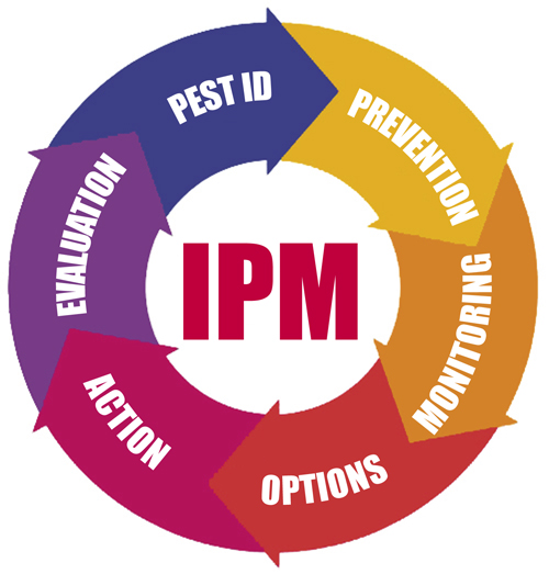 Krystal Schmich On IPM Strategies – TUCSON ROSE SOCIETY